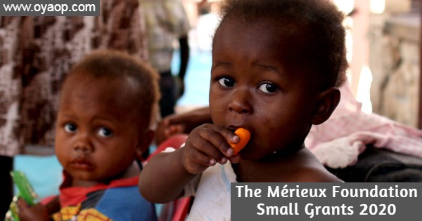 The Mérieux Foundation Small Grants 2020 - OYA Opportunities | OYA ...